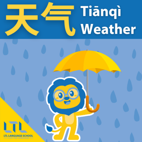 Chengdu Weather Guide: Climate & Best Times to Visit