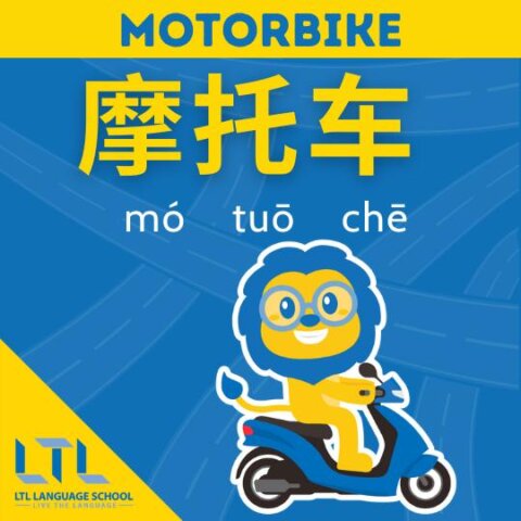 Transport in Chinese - 37 Words To Win (Land, Air and Sea!) | LTL Chengdu